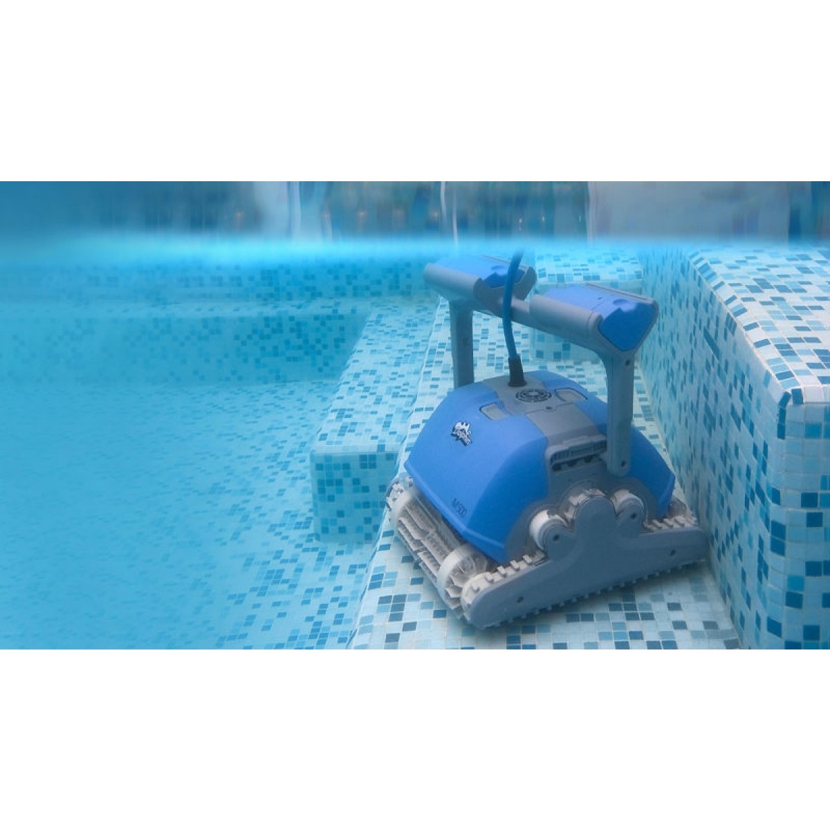 Robot Dolphin M500 brosses combinées | Shop Piscines Fitness